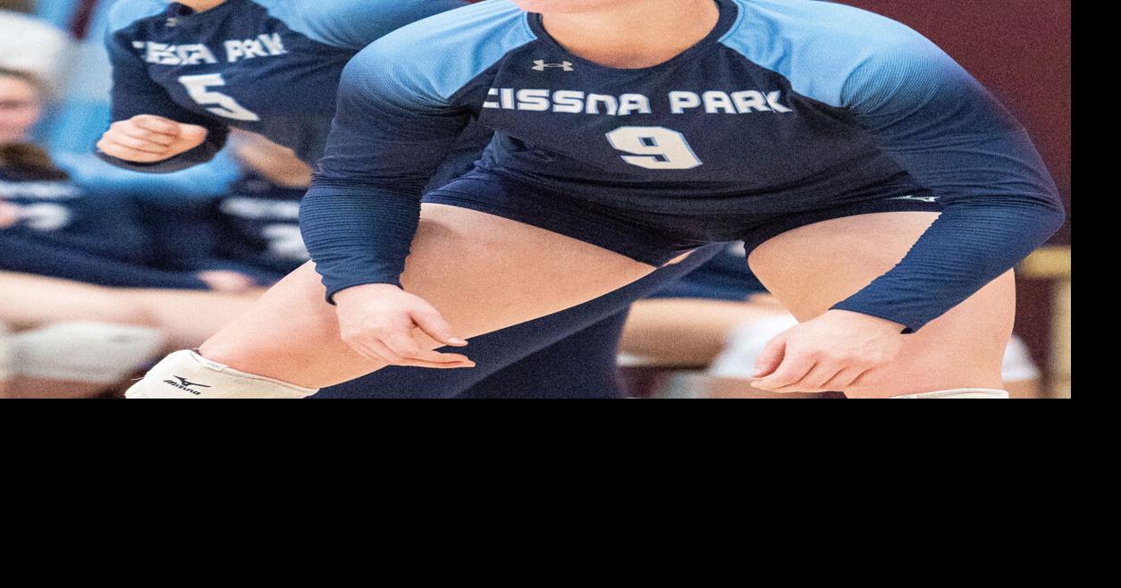 Sweet 16 feeling: Timberwolves last area volleyball team standing ...