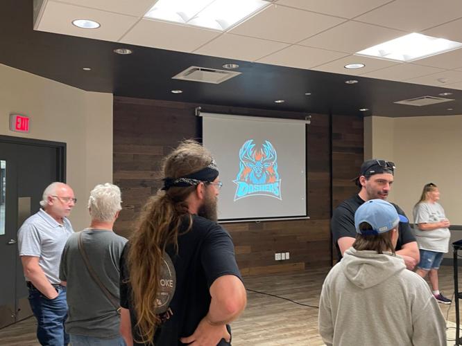 Dashers unveil fiercer, edgier logo | News | news-gazette.com