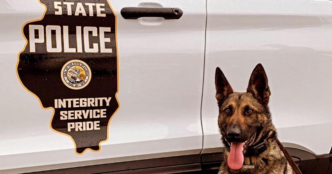 State police dog that works in area to get protective vest | Courts ...