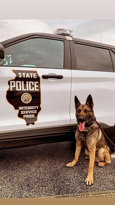 State police dog that works in area to get protective vest | Courts ...
