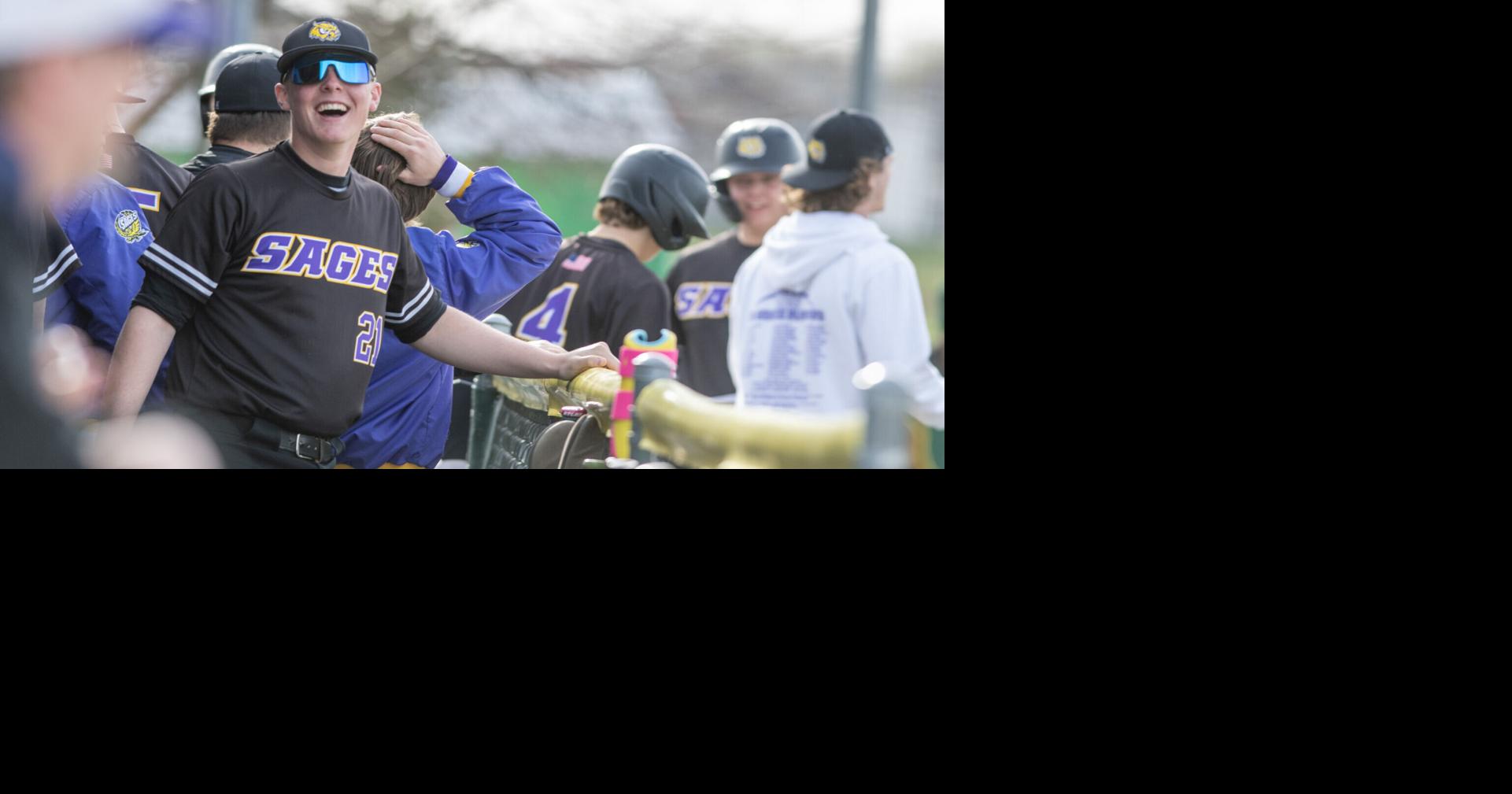 The News-Gazette’s baseball Top 10: Fight for second as Arcola stays on ...