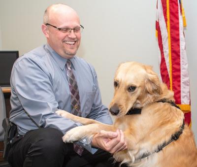 Golden retriever Harlow raising spirits in the Champaign County Coroner ...