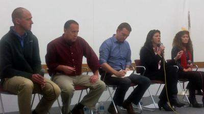 5 Dems vying to replace Davis make cases at Champaign forum | News ...