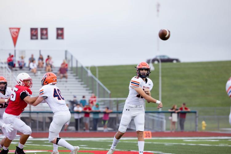 Daniels | Dyer is born for this role | Sports | news-gazette.com