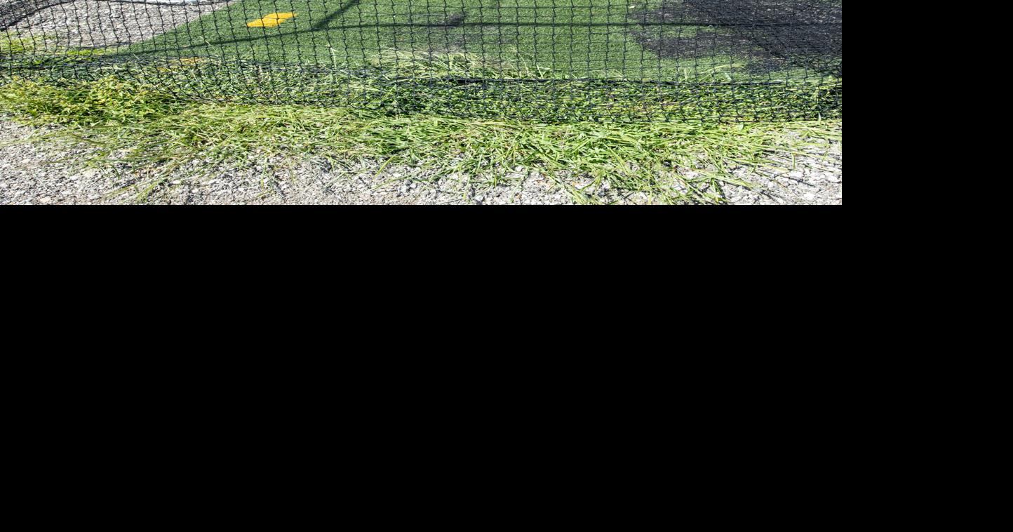 Champaign Park District pursues grant to fund Douglass Park ...