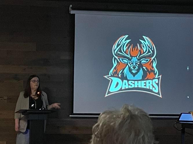 Dashers unveil fiercer, edgier logo | News | news-gazette.com
