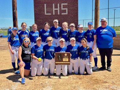 Villa Grove gets redemption in sectional title win | Sports | news ...