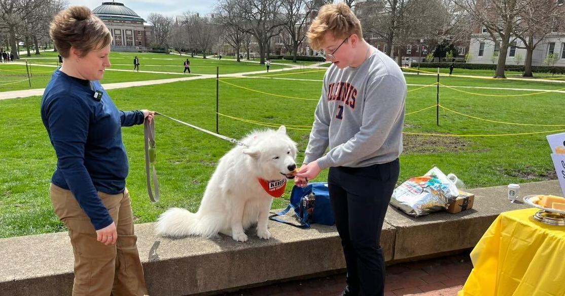 Illini Insider | Cheese Club making big plans | University-illinois ...