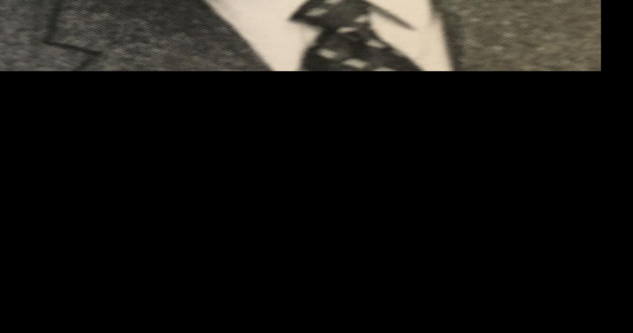 Paul Palmgren | Archive | news-gazette.com