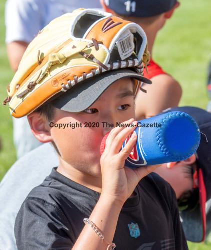 Sports during COVID-19: Champaign Dream prepares for 2021, keeps eye on ...