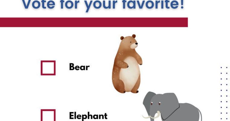 My Turn | Decision '24: Parrot, bear, other animals vie for youth ...