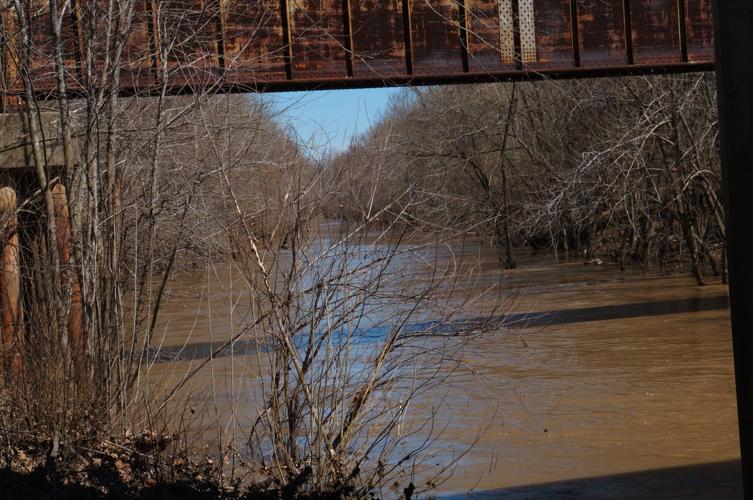 Cache River Valley a hidden gem | Local News | news-gazette.com