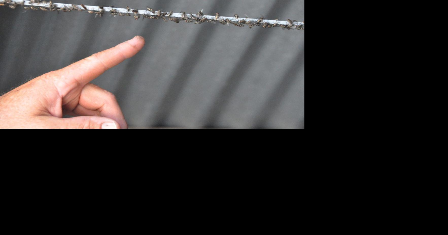 Residents raising a stink over hog waste sludge | News | news-gazette.com