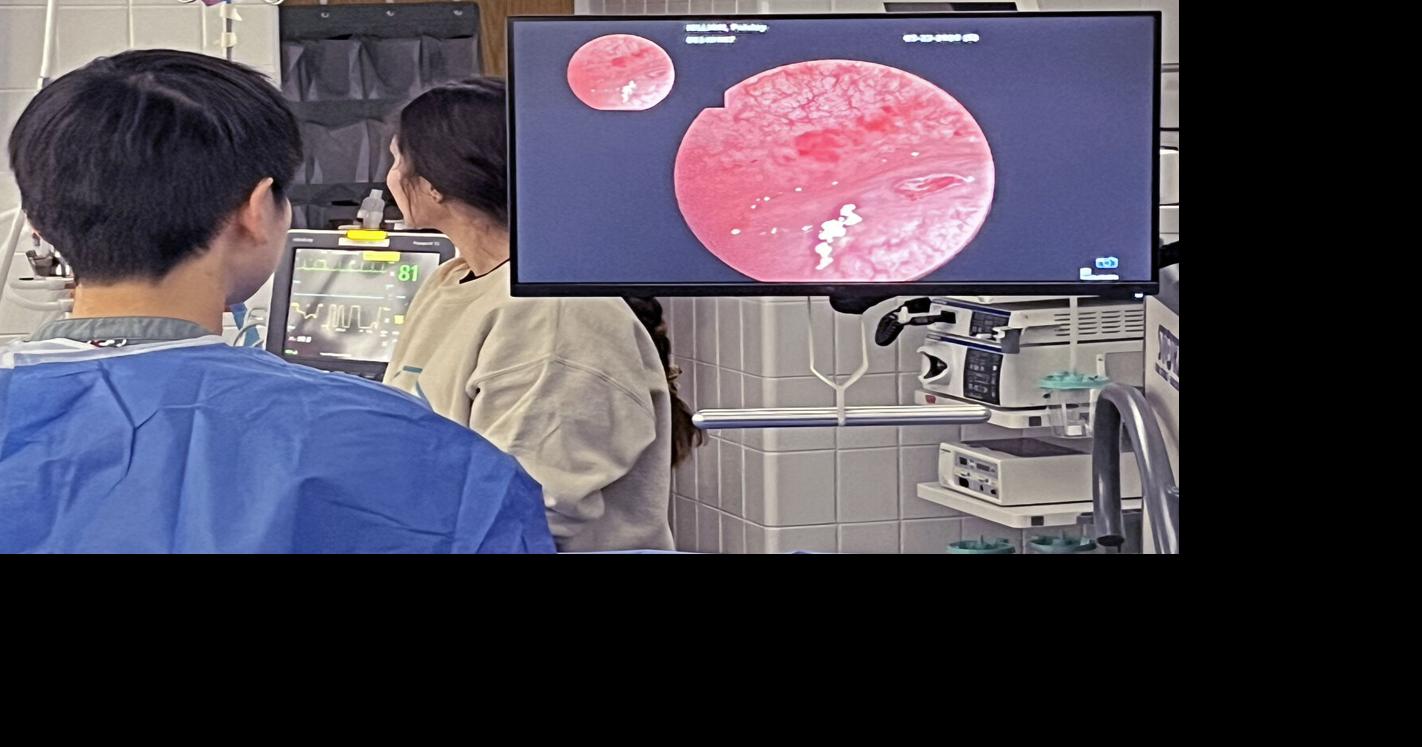 Pet Talk | Cystoscopic laser lithotripsy changing the game | Living ...