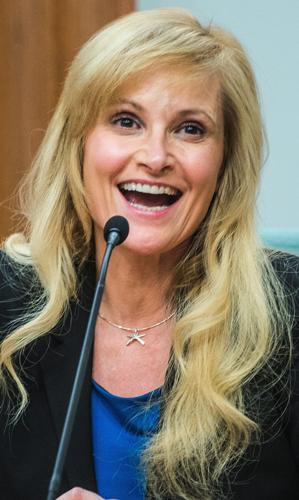 Q&A: Ann Callis, U.S. House, 13th District | News | news-gazette.com