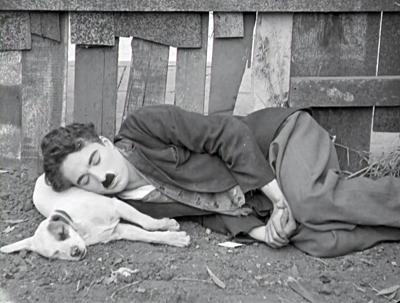 the real chaplin