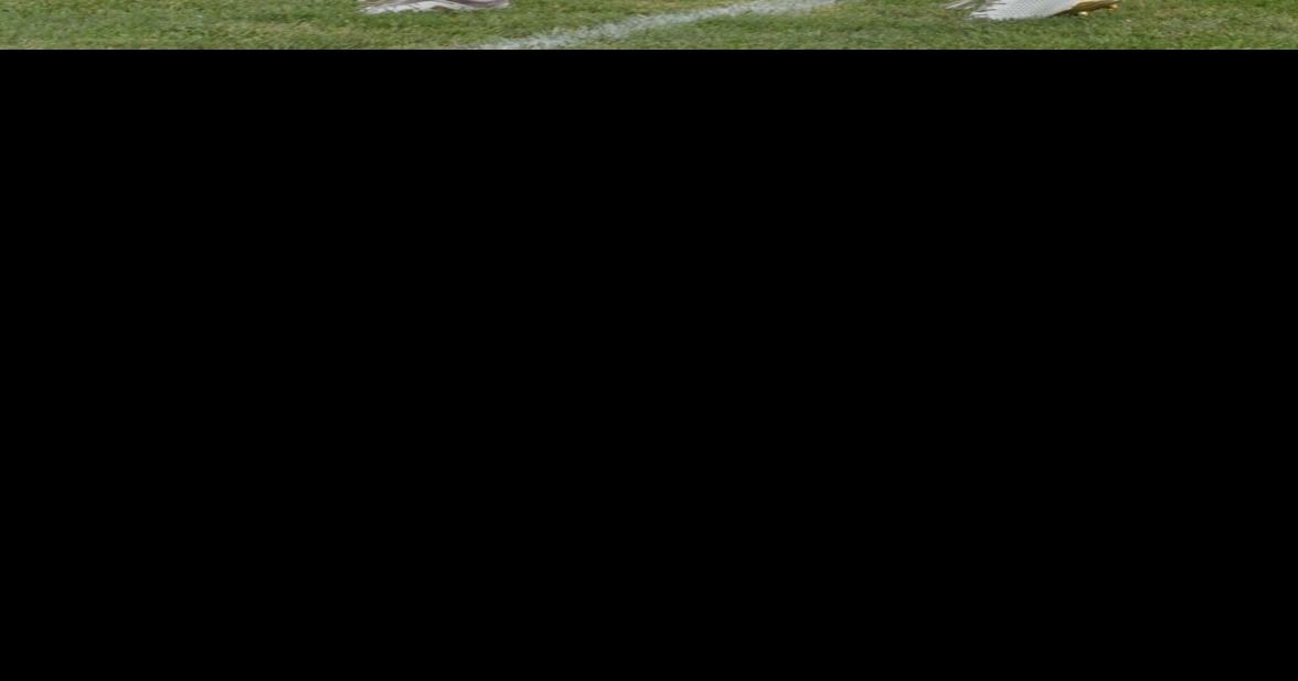 Arcola spotlight | They said ... Kacee Moore | Sports | news-gazette.com