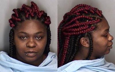 Champaign woman convicted of storming house, attacking woman | News ...