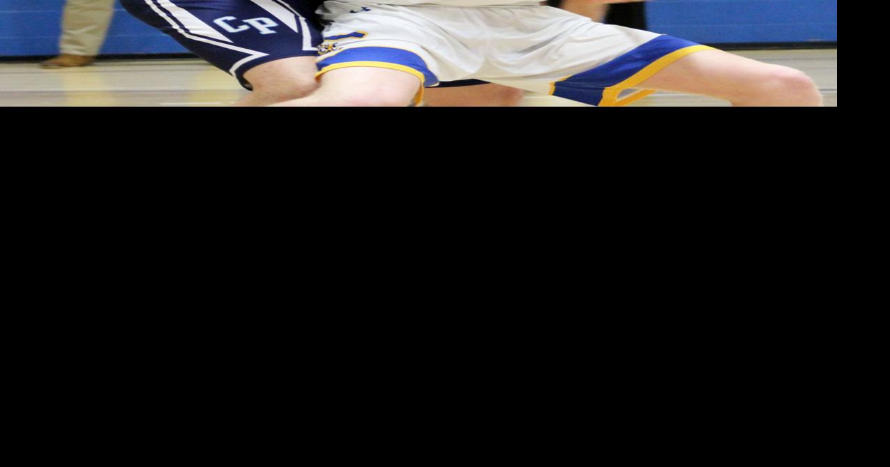 PBL Panthers overtake Timberwolves at home | Ford County | news-gazette.com