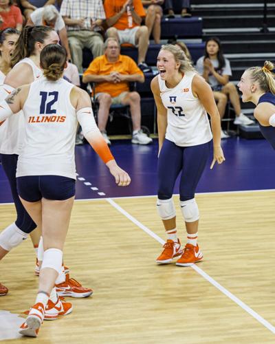 Bingham, Burbage steady in new roles | Sports | news-gazette.com