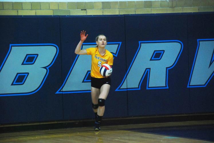 PBL volleyball vs. Cissna Park | Ford County | news-gazette.com