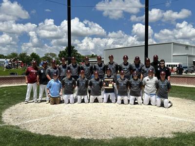 Area postseason roundup: SJ-O baseball wins regional title in walk-off ...