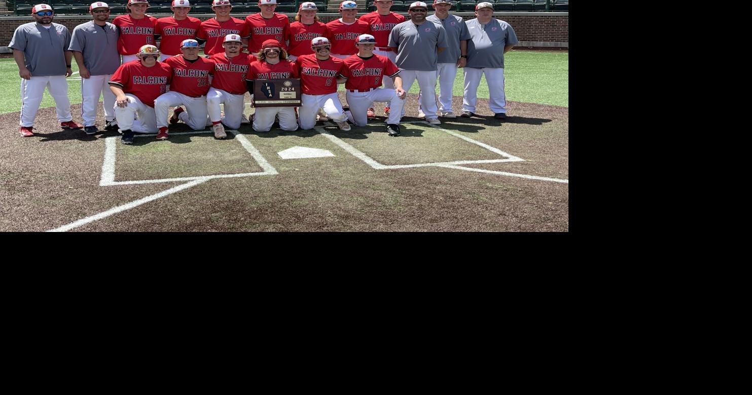 Falcons punch first ticket to state finals | Sports | news-gazette.com