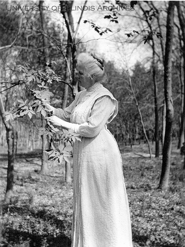 Inside Out | Pioneering prof’s ‘movable schools’ helped make science ...