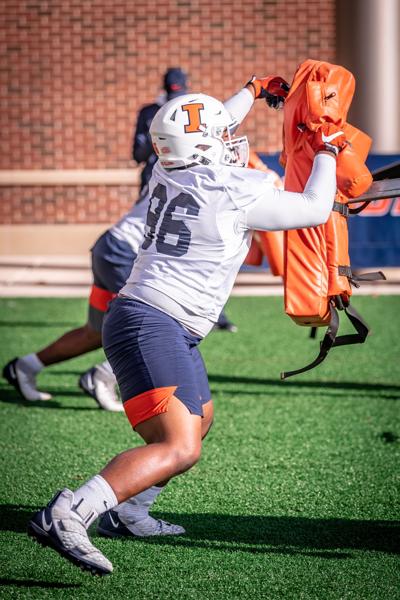 Lovie: Perry a 'godsend' for Illini defense | Sports | news-gazette.com