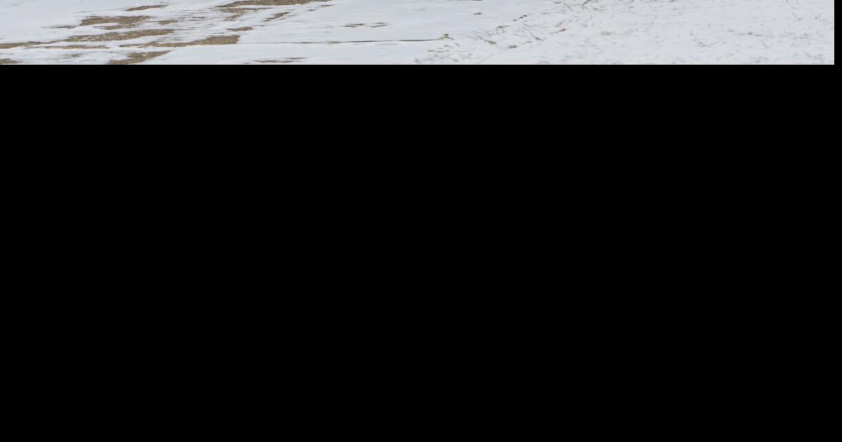 Just Askin' | How much ice built up last week? | News | news-gazette.com