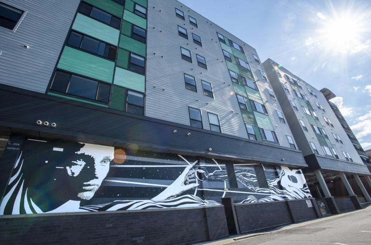 Artists take inspiration from UI for Campustown murals | Art | news ...