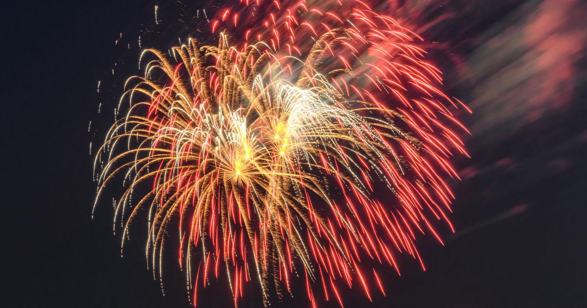 Homer forgoing fireworks: 'We couldn’t justify that kind of money ...