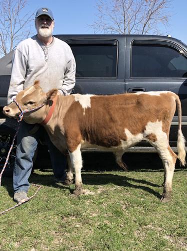 From State Farm to the farm: Loda man milking his retirement ...