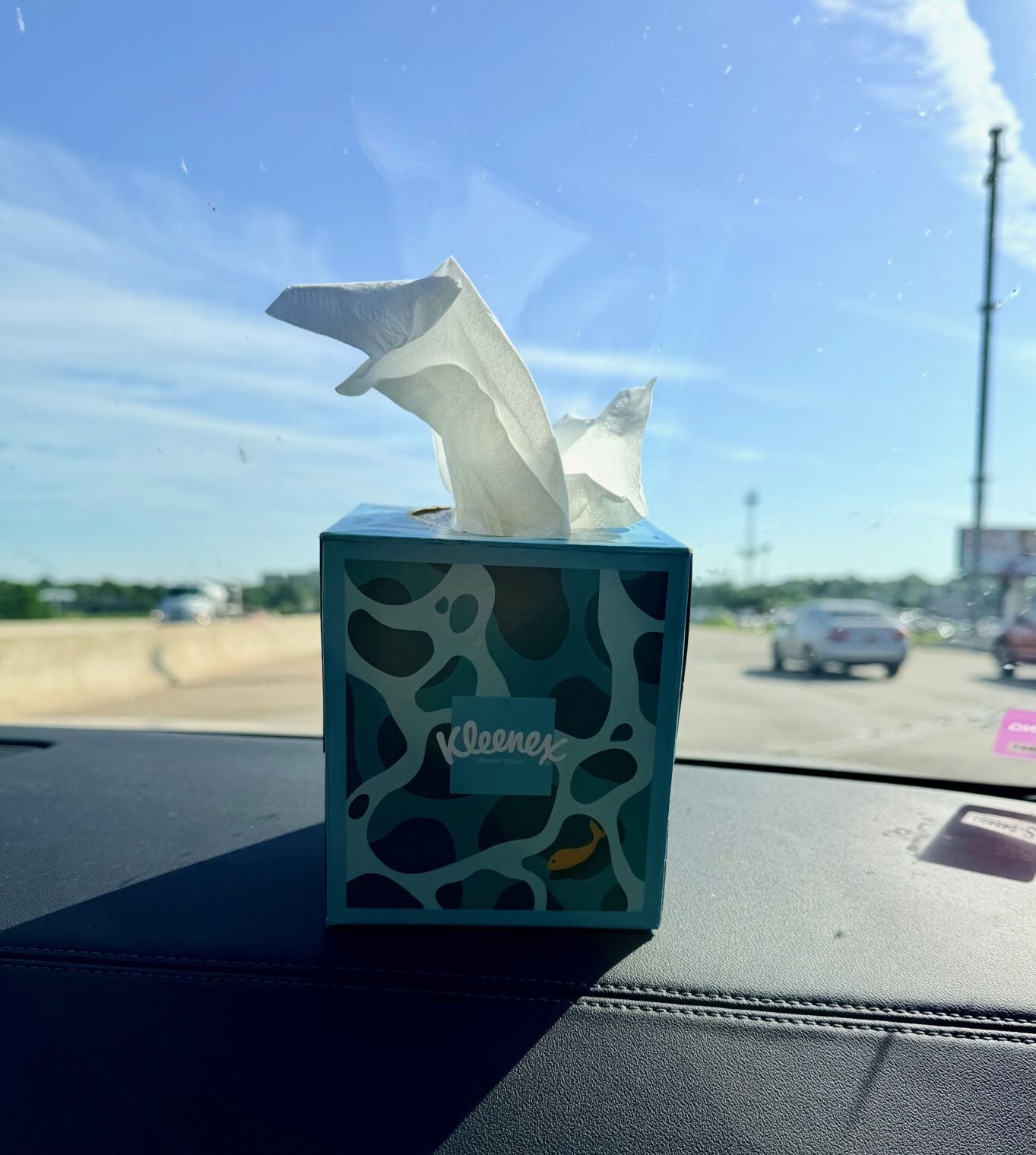 Midlife Musings | Reflections on traveling while ill | Columns | news ...