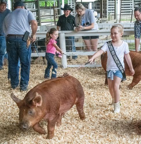 PHOTO GALLERY: Vermilion County Fair | News | news-gazette.com