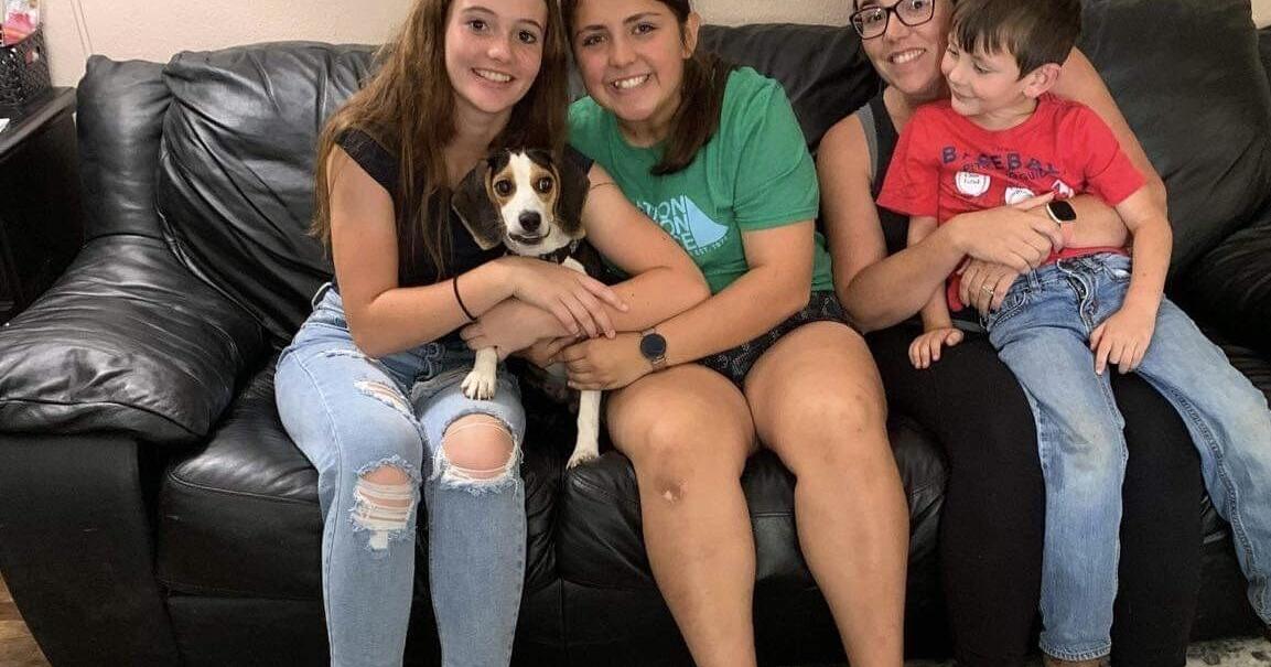 How to give: Moore's Rescue Ranch | News | news-gazette.com