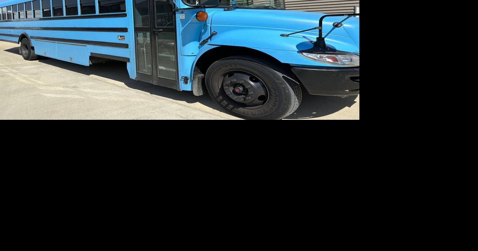 Just Askin' | Sparkly pastel school buses? | Columns | news-gazette.com