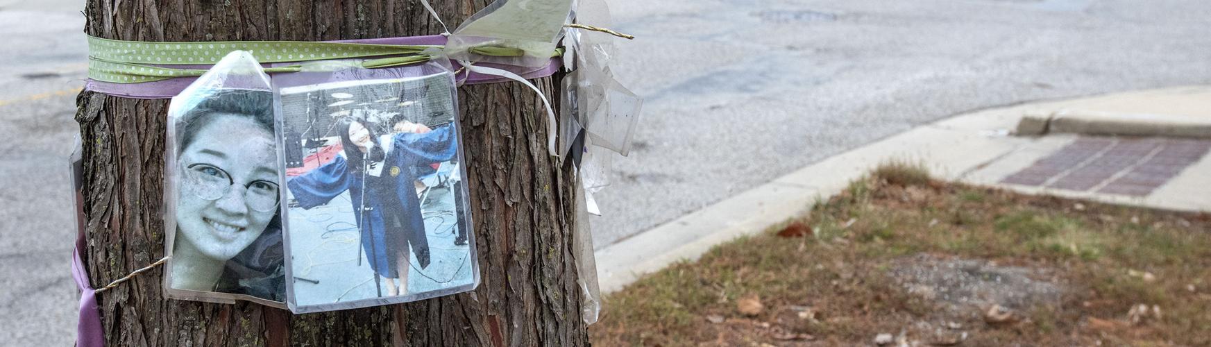 'Finding Yingying' documentary available for streaming | Film ...