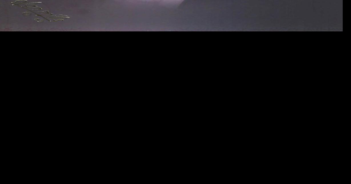 Robert Simpson | Archive | news-gazette.com