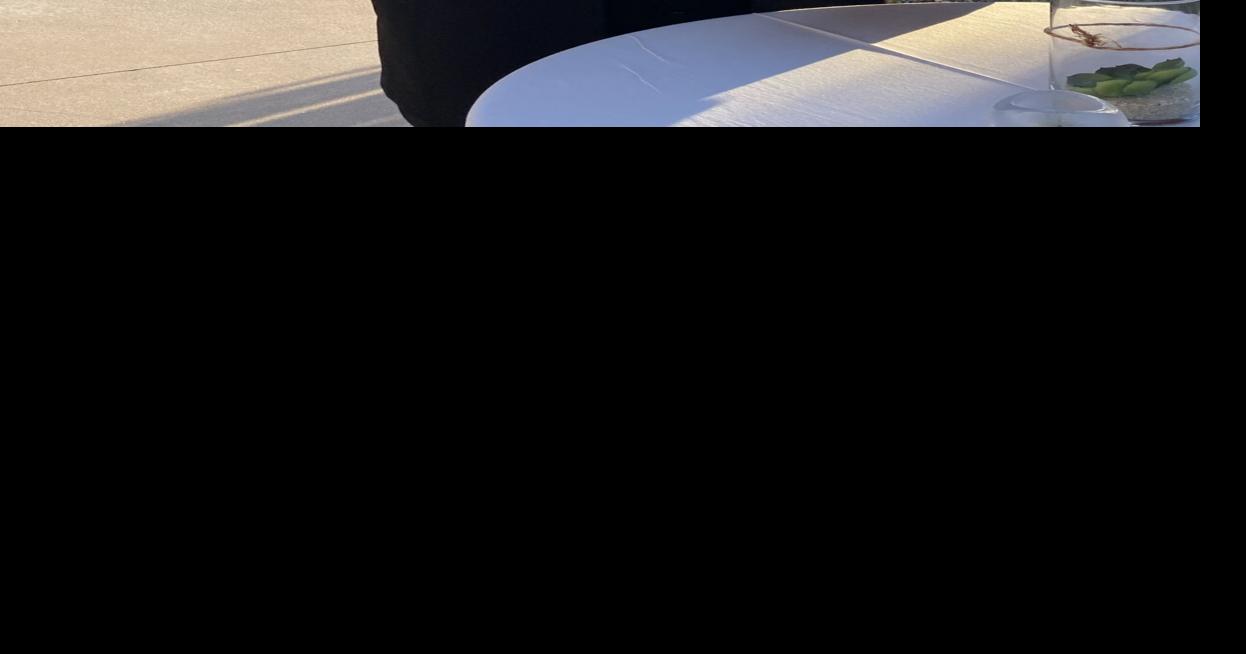 Jim Dey | Is Namoff's big party prelude to Champaign mayoral run ...