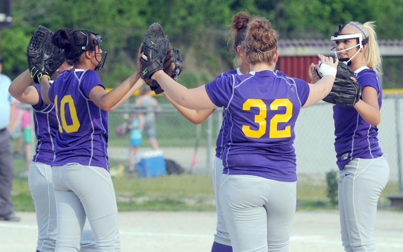 Danville and Rantoul High School softball May 11, 2011 | Prep Sports ...