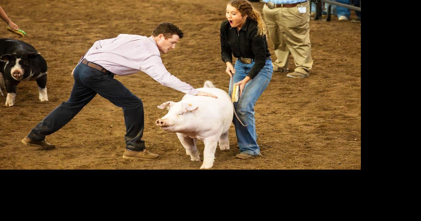 Another Shike winner: Olivia makes it 2 in a row for family showing ...