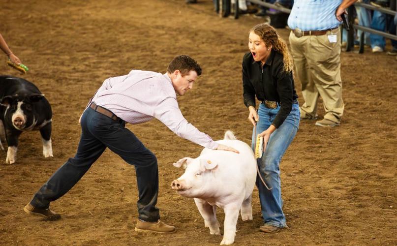 Another Shike winner: Olivia makes it 2 in a row for family showing ...