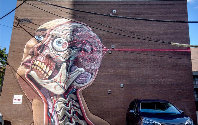 Artists take inspiration from UI for Campustown murals | Art | news ...