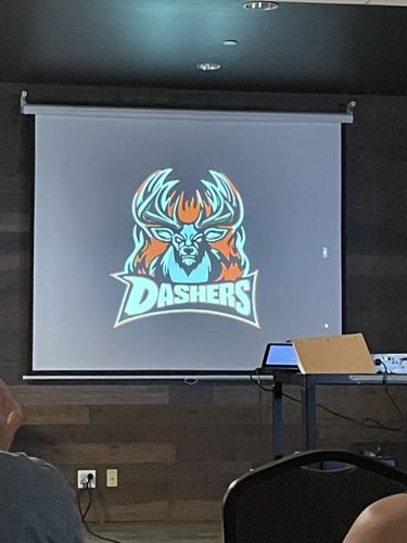 Dashers unveil fiercer, edgier logo | News | news-gazette.com