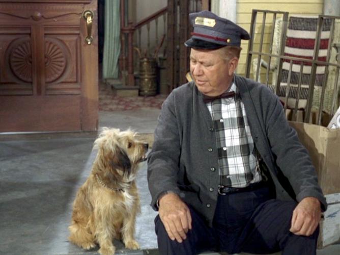 Holy Cow History | The smartest dog in Hollywood | Columns | news ...