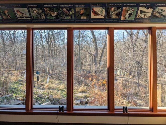 Inside Out | Birds the stars of Anita Purves Nature Center's newest ...