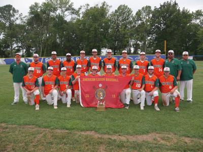 Vinson helps Danville Post 210 secure first World Series trip | Sports ...