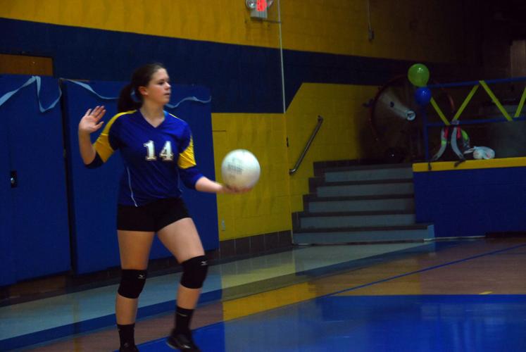 PBL volleyball vs. Dwight | Ford County | news-gazette.com