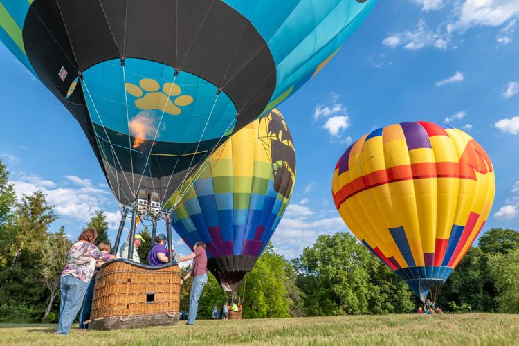 Balloons Over Vermilion: 'Barx' joins family's litter of dog-inspired ...